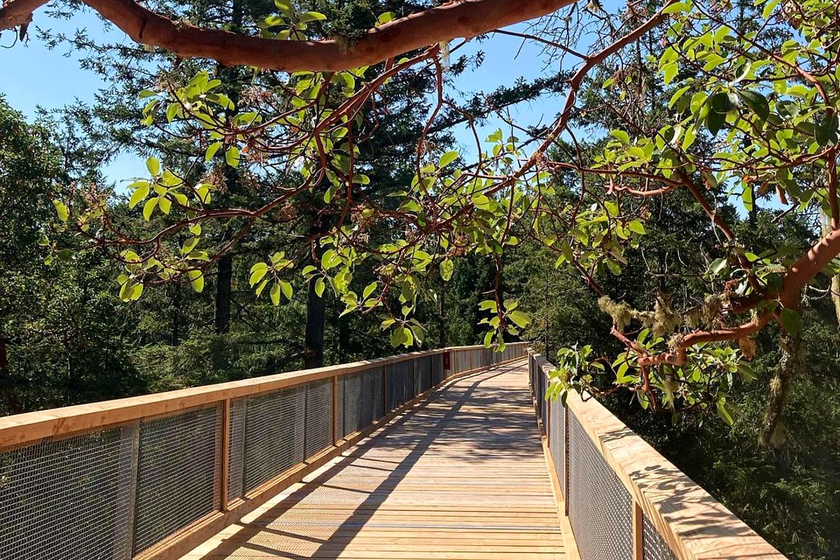 A new and unique outdoor experience: BC’S NEW SKYWALK - My Media